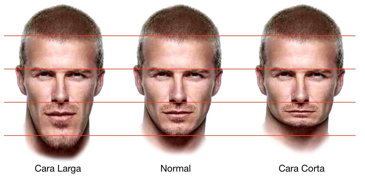 Dr. Javier Calderón Polanco » Exploración Clínica